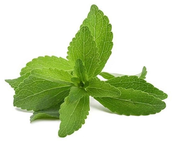 Buy Organic Stevia Leaves & Moringa - FRESH 'N' FABULOUS